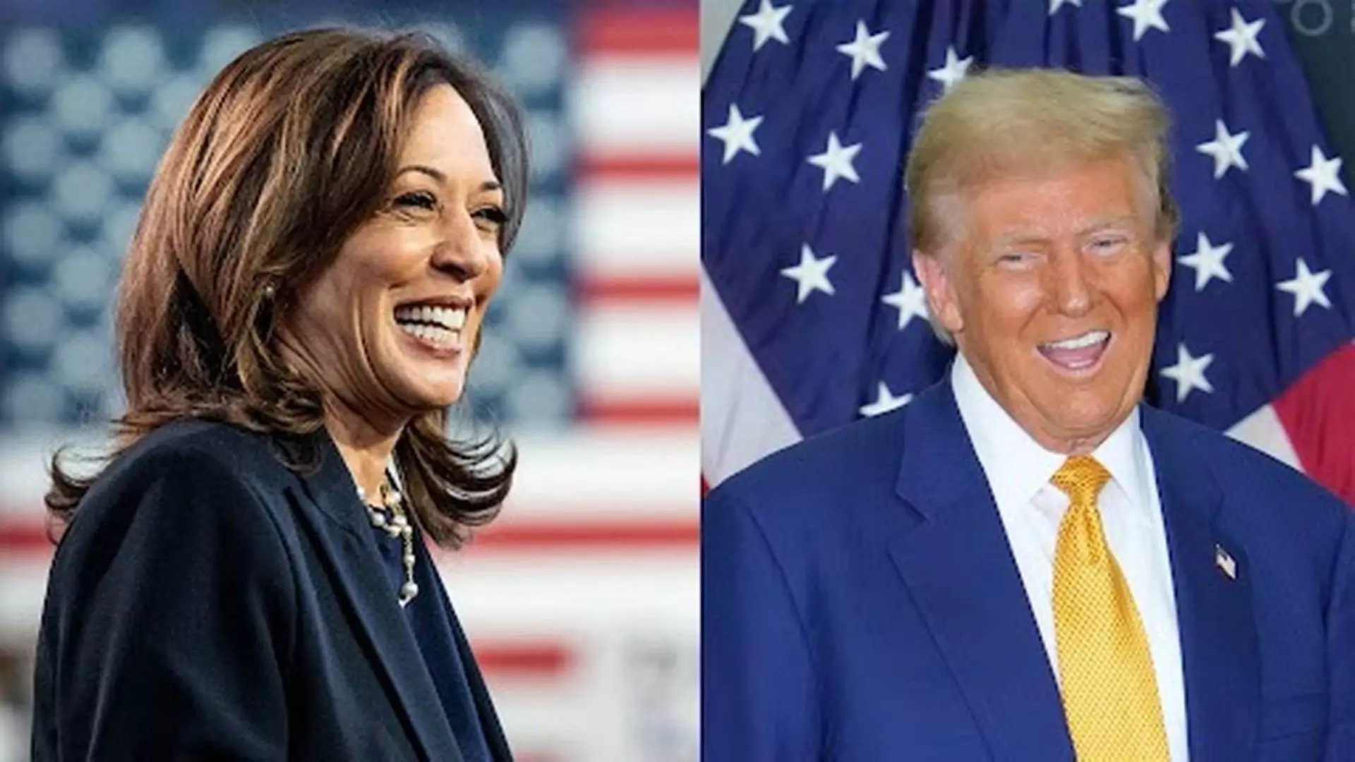 Us Presidential Election 2024 Survey Results - Cally Corette Us Presidential Election 2024 Survey Results - Cally Corette